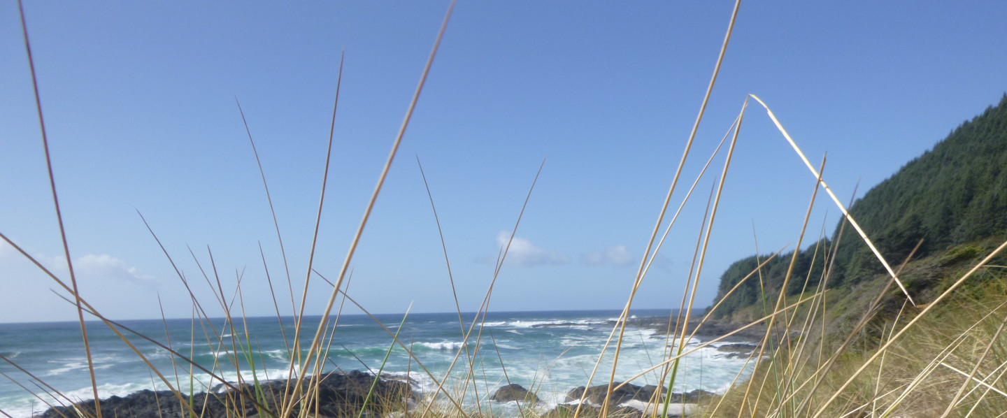 Robert Jackman Psychotherapy | St. Charles, IL